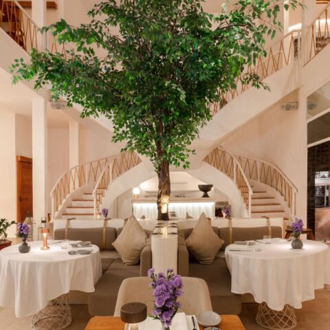 Top Michelin Star Dining in Bali: Ultimate Guide